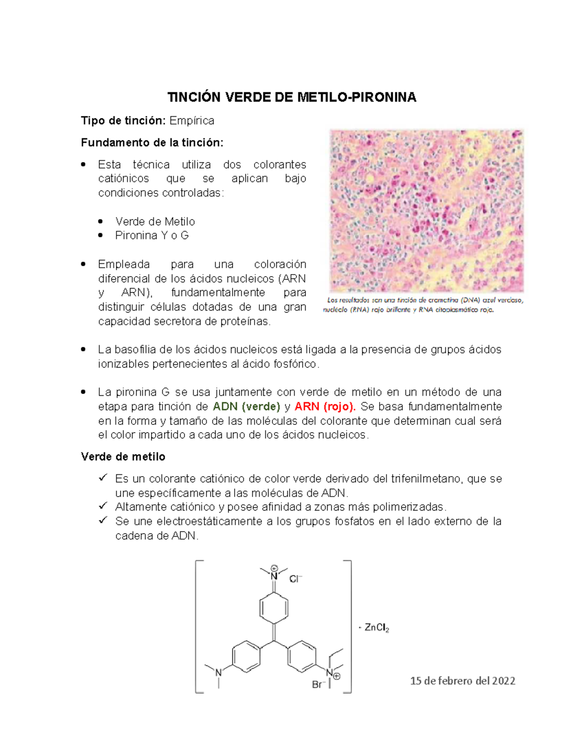Tinción Verde de Metilo y Pironina: Método y Resultados Histológicos ...