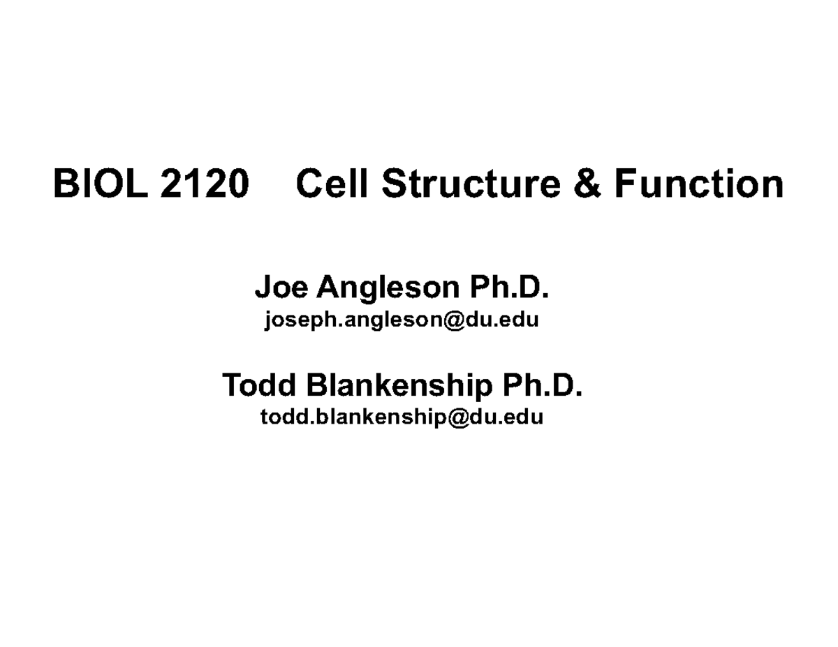 BIOL 2120: Eukaryotic Cell Structure & Function Overview - Studocu