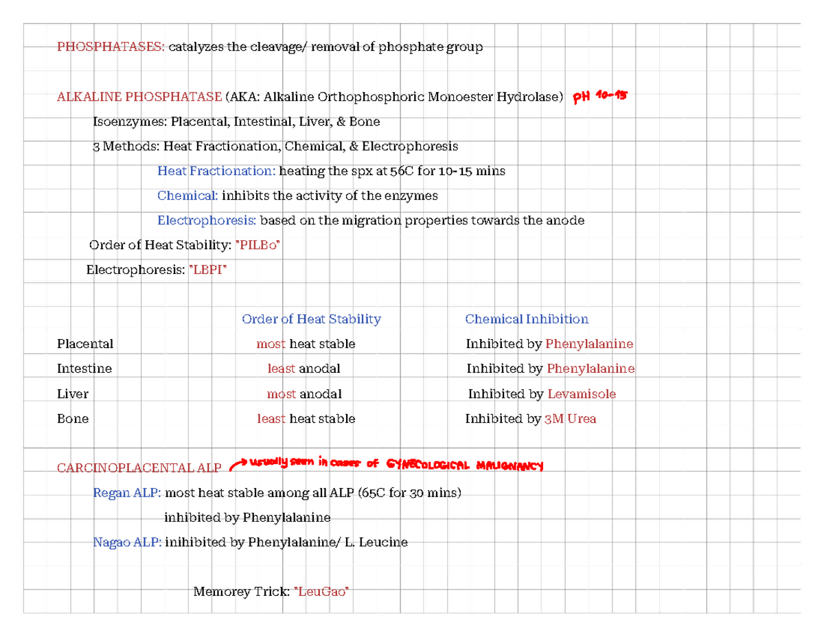 PHOSPHATASES: ALKALINE PHOSPHATASE (ALP) Lab Study Notes - Studocu