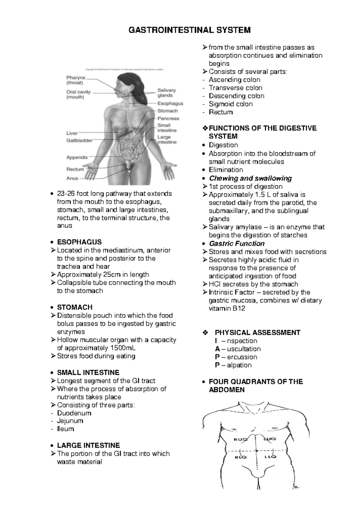 GASTROINTESTINAL SYSTEM: Anatomy, Functions, and Disorders Overview ...