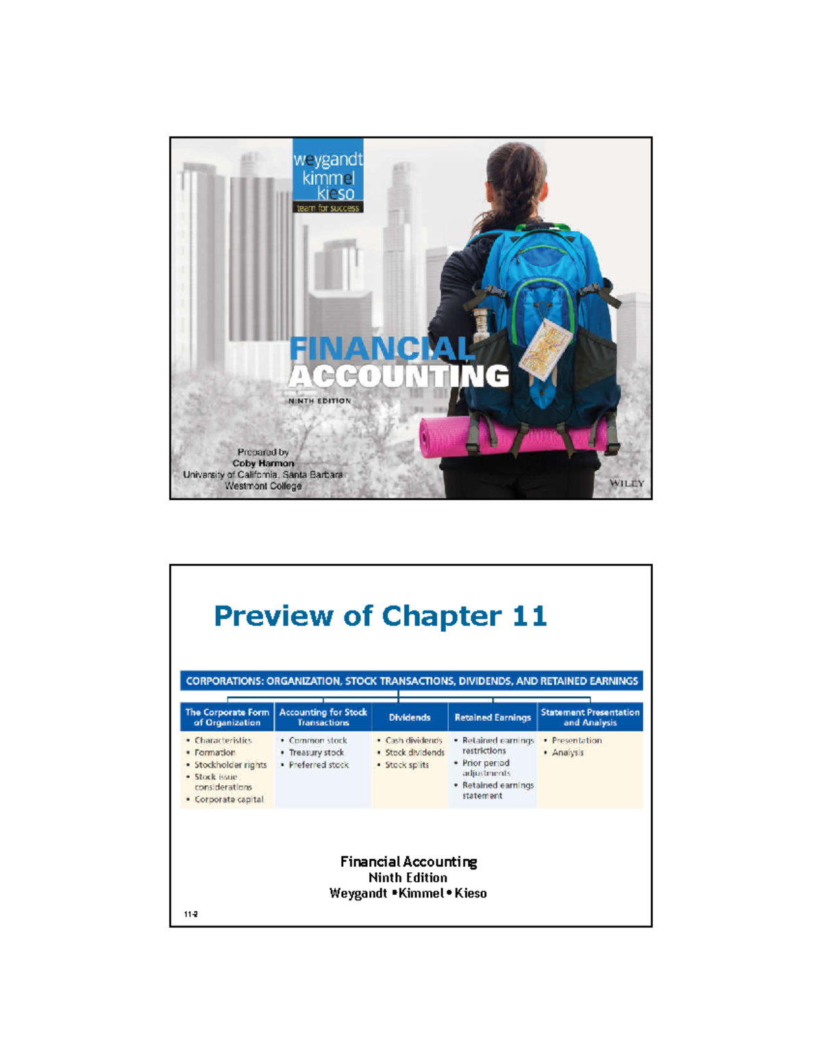 Ch11s [Compatibility Mode] - 11- Preview of Chapter 1 Financial ...