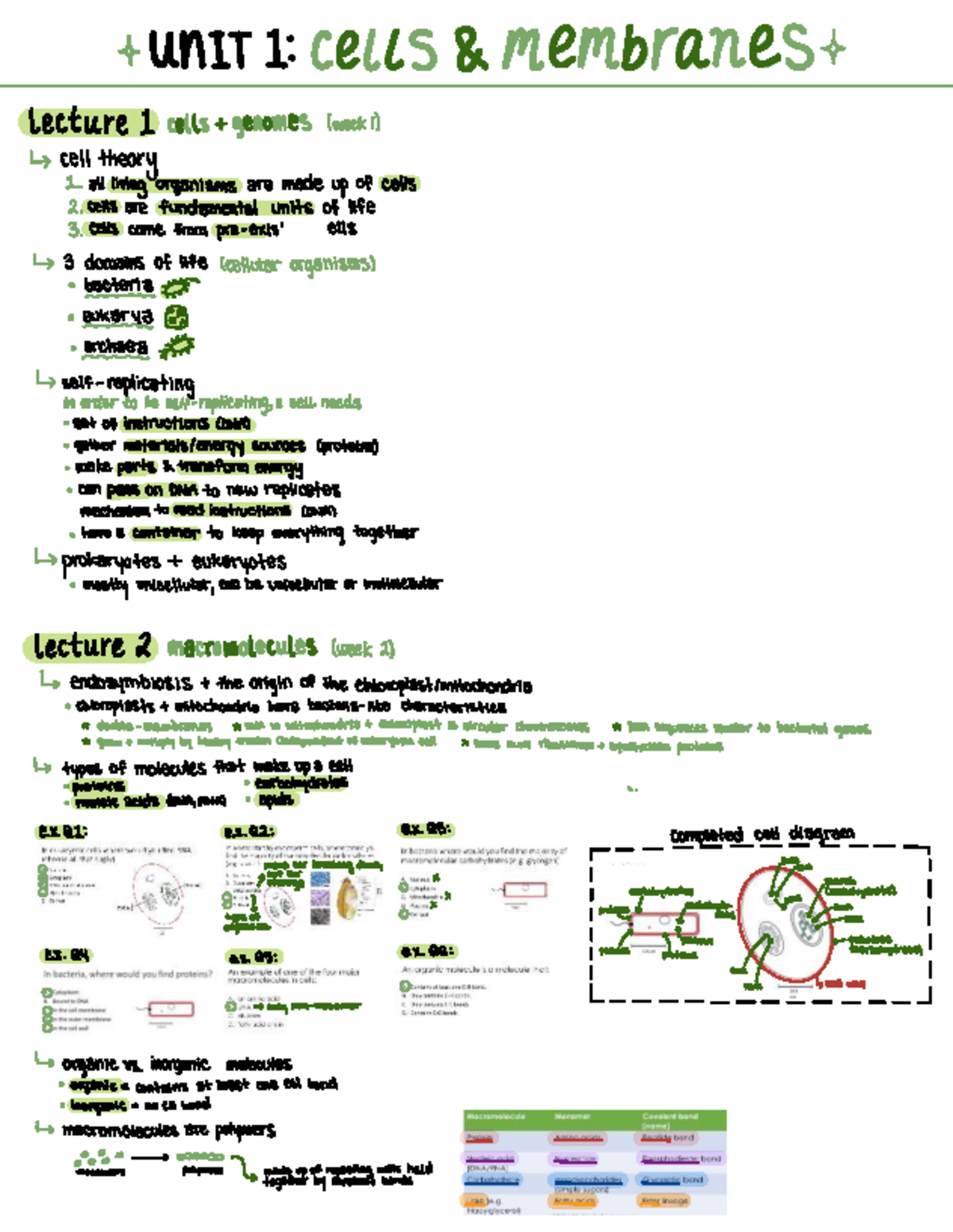 Biology 112 - Unit 1 Lecture Notes: Cells and Macromolecules - Studocu