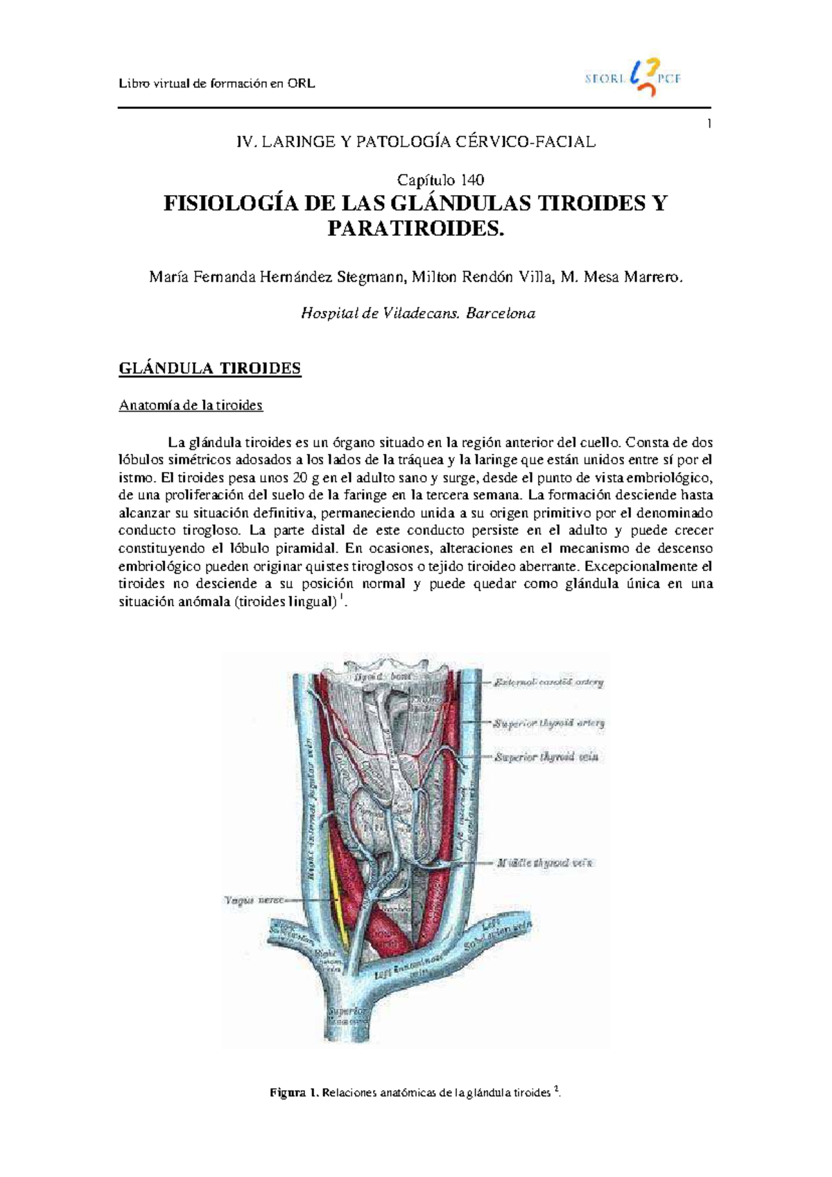 Libro virtual de formación en ORL 1 IV. LARINGE Y PATOLOGÍA: Capítulo ...