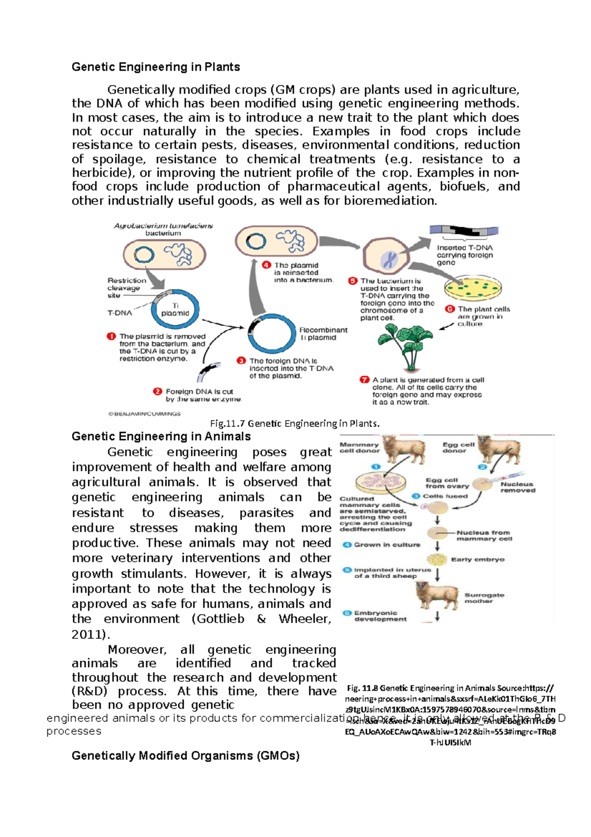 Genetic Engineering in Plants - Genetic Engineering in Plants ...