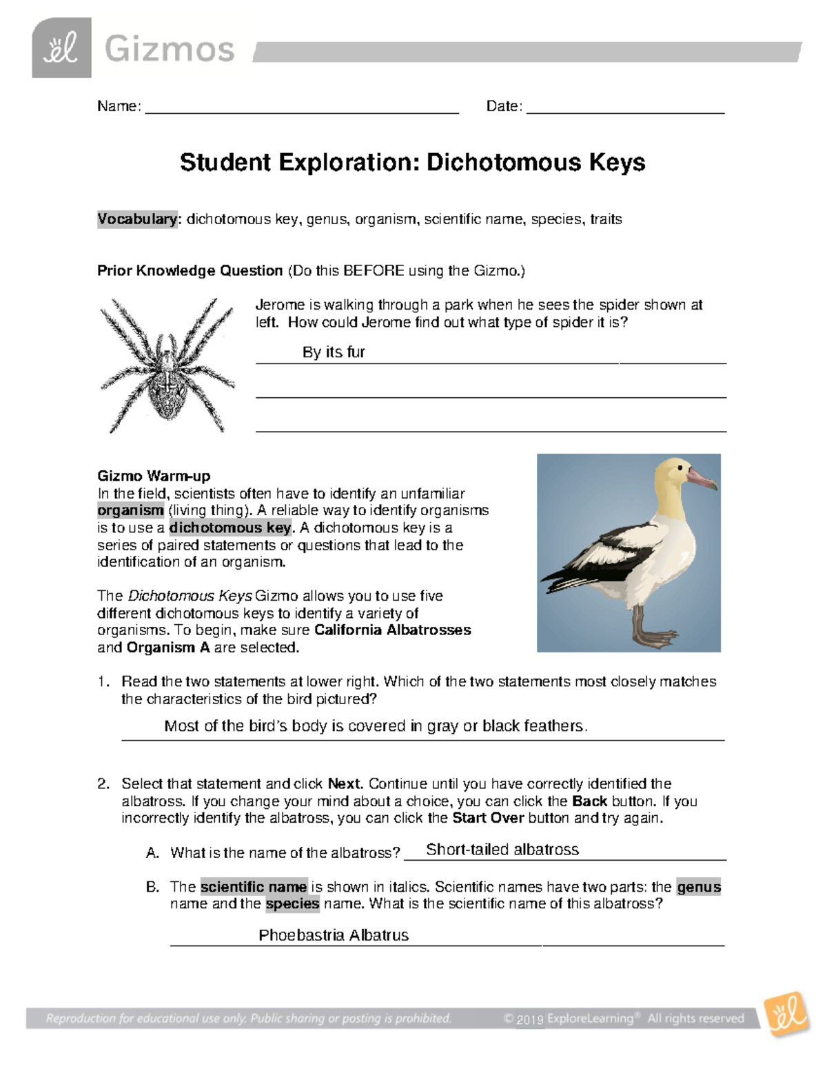 Student Exploration: Dichotomous Keys for Organism Identification - Studocu