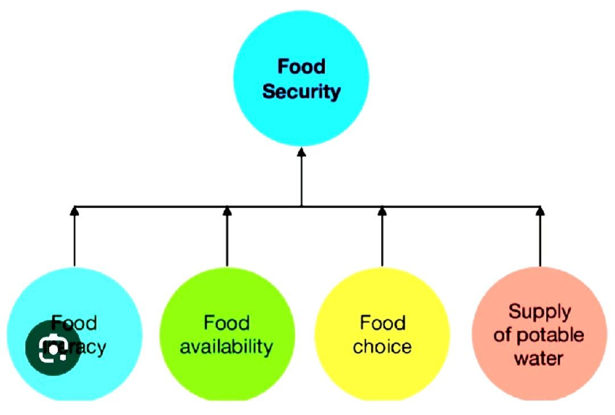 Food Security Issues: Challenges and Solutions for MST - Studocu