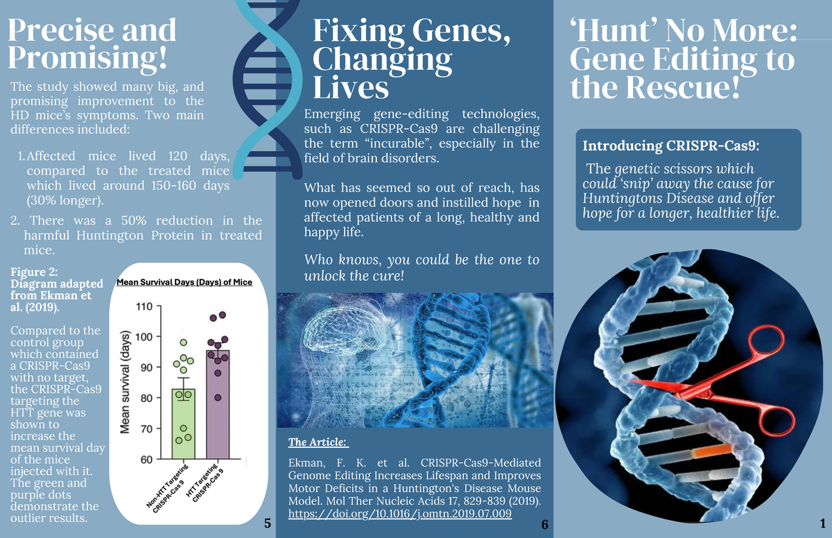 Gene Editing Breakthroughs in HD: Insights from Ekman et al. (2019 ...