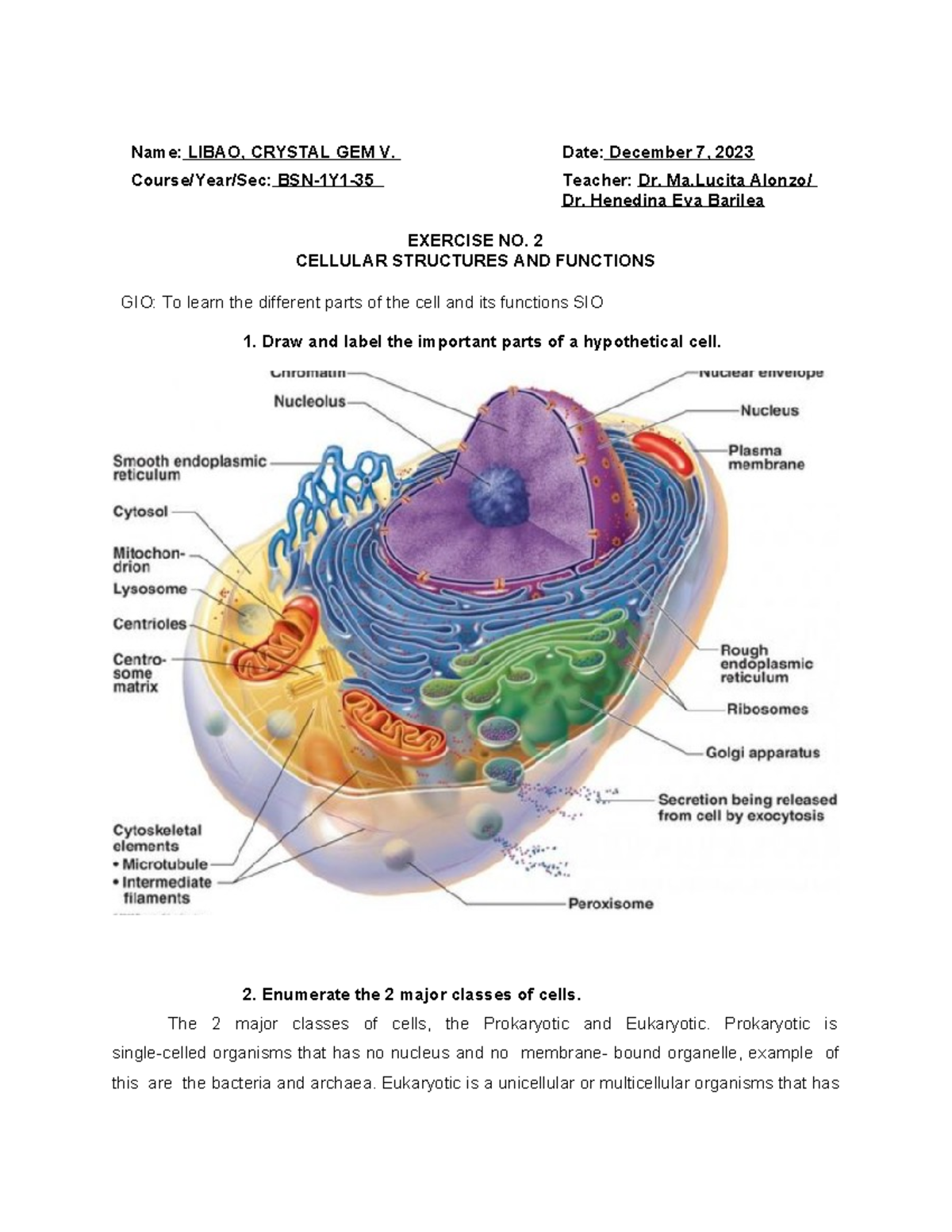 LAB Exercise Cell Structures and Functions - Name: LIBAO, CRYSTAL GEM V. Date: December 7, 2023 ...
