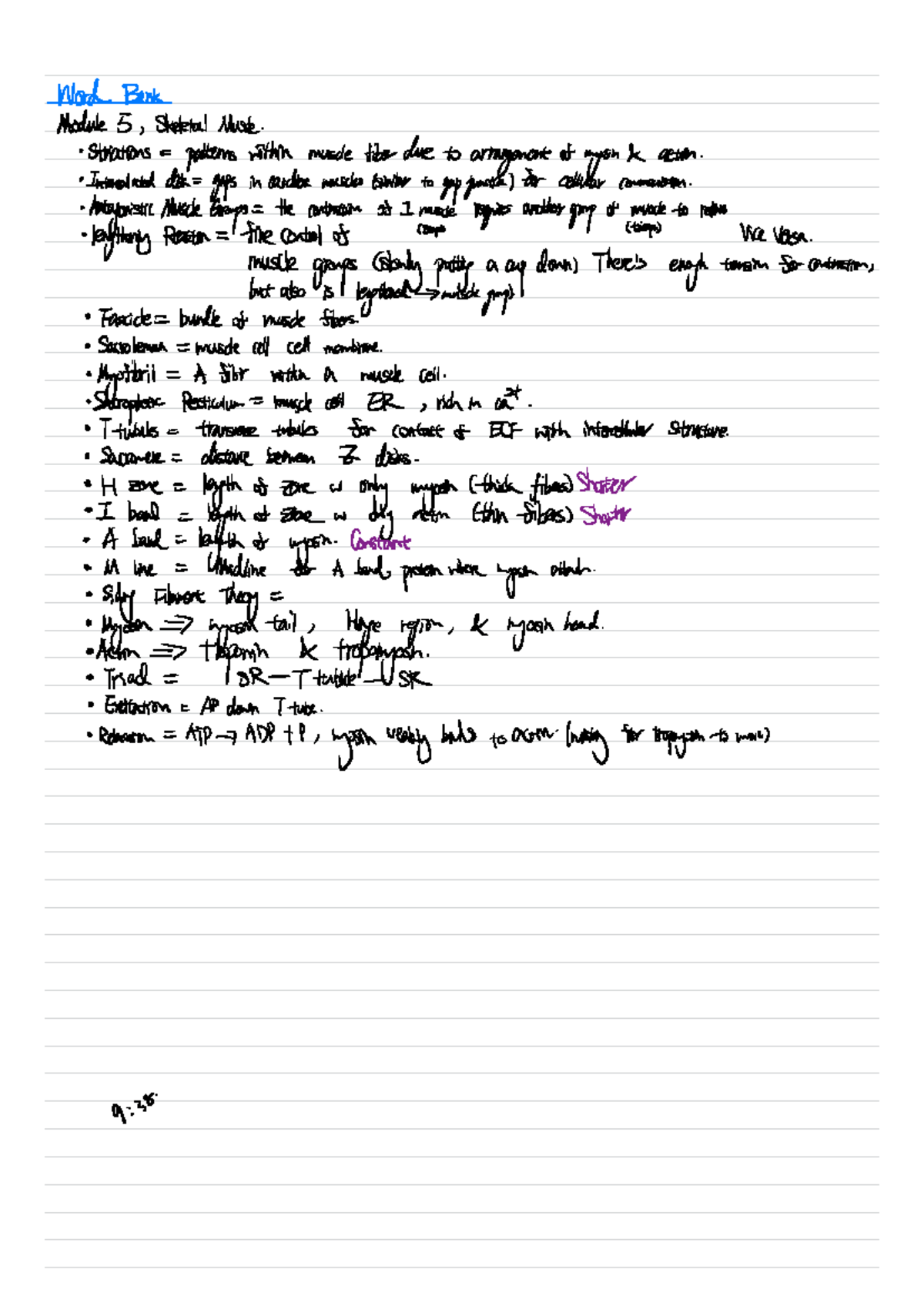 Word Bank - self study - Word Bank Module 5 , Skeletal Muscle ...