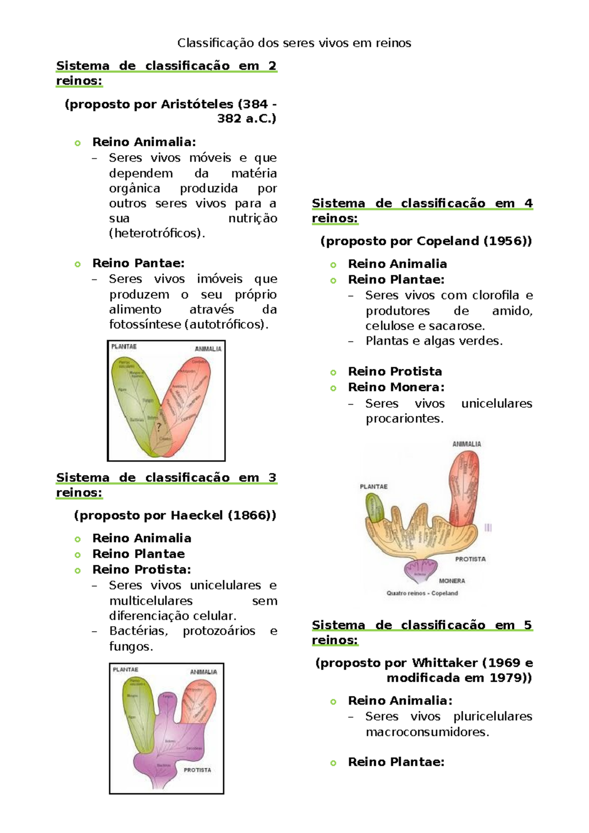 Classificação dos seres vivos em reinos - Classificação dos seres vivos ...