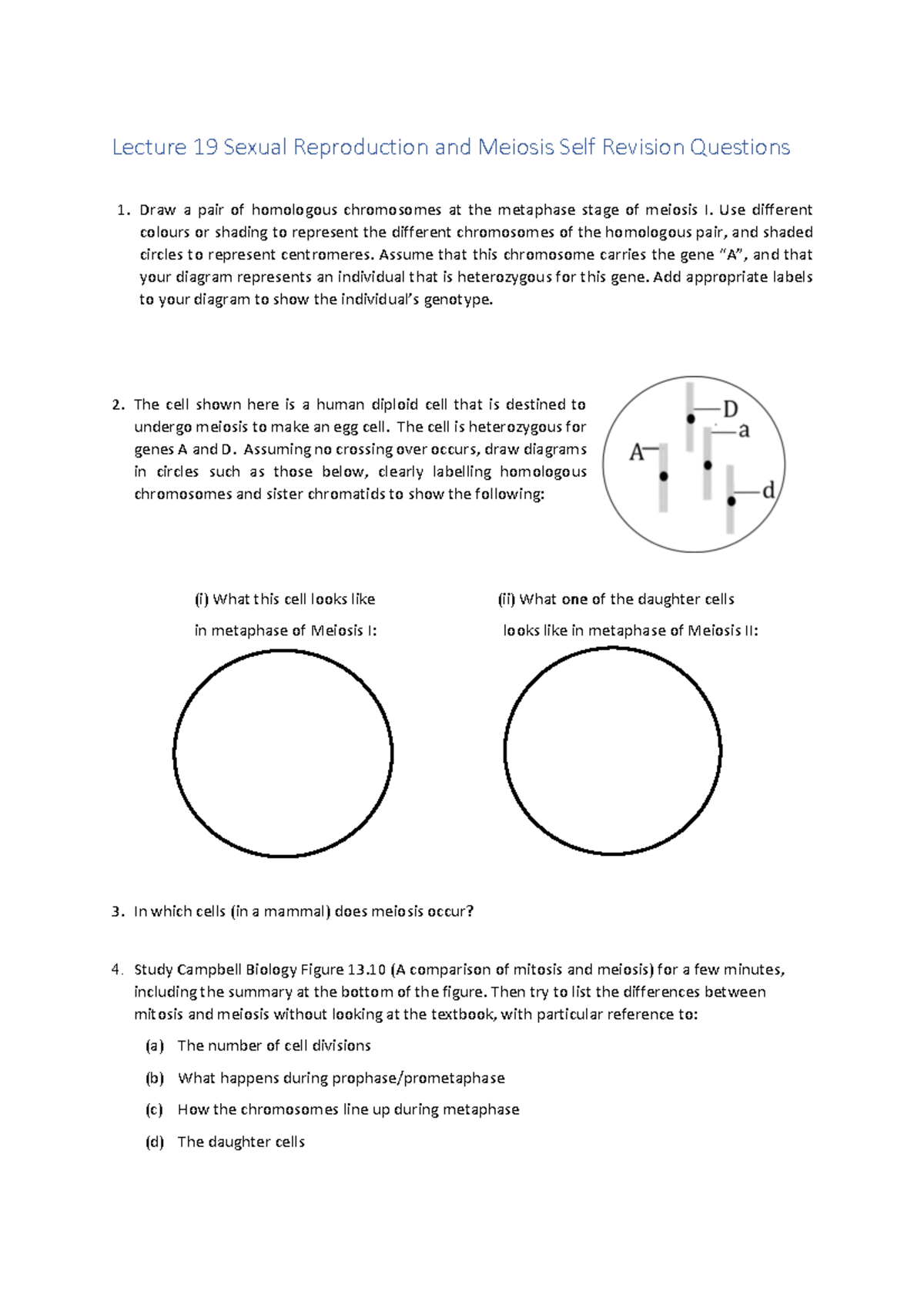 Lect 19 Meiosis Check Your Thinking questions - Lecture 1 9 Sexual ...