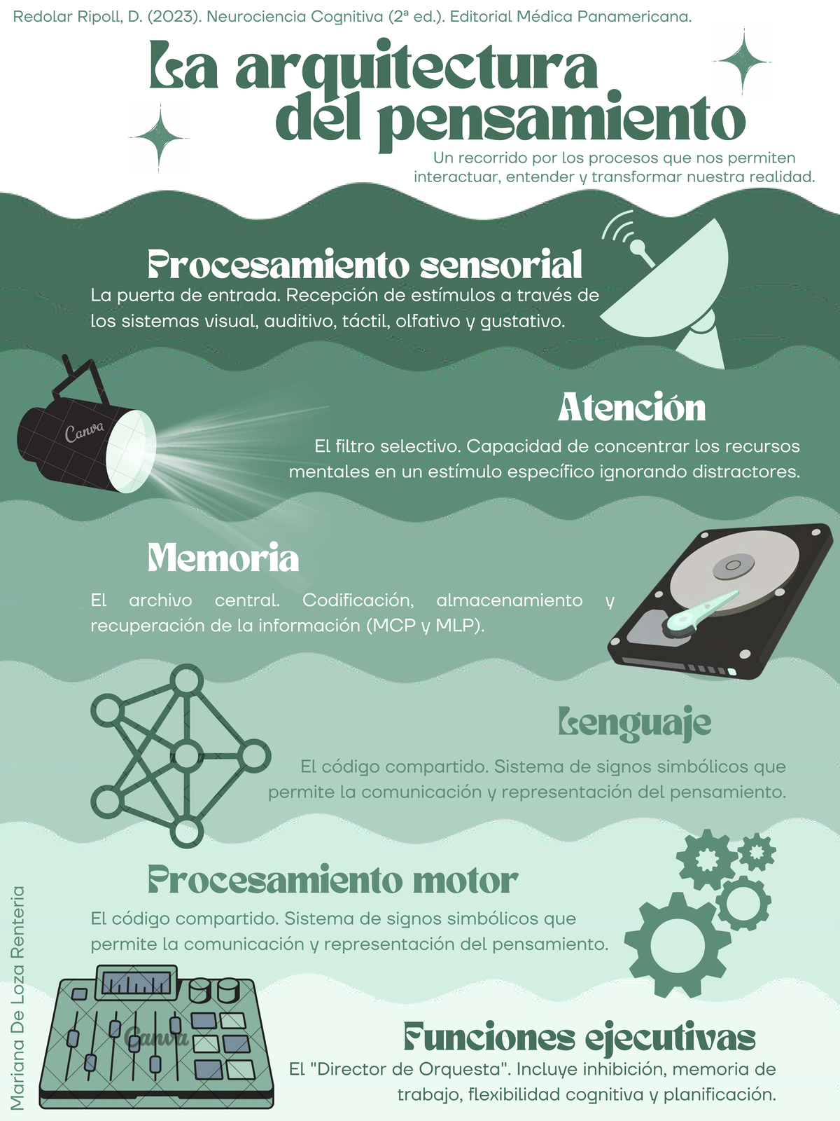 Infografía sobre Neurociencia Cognitiva - Procesos Mentales - Studocu