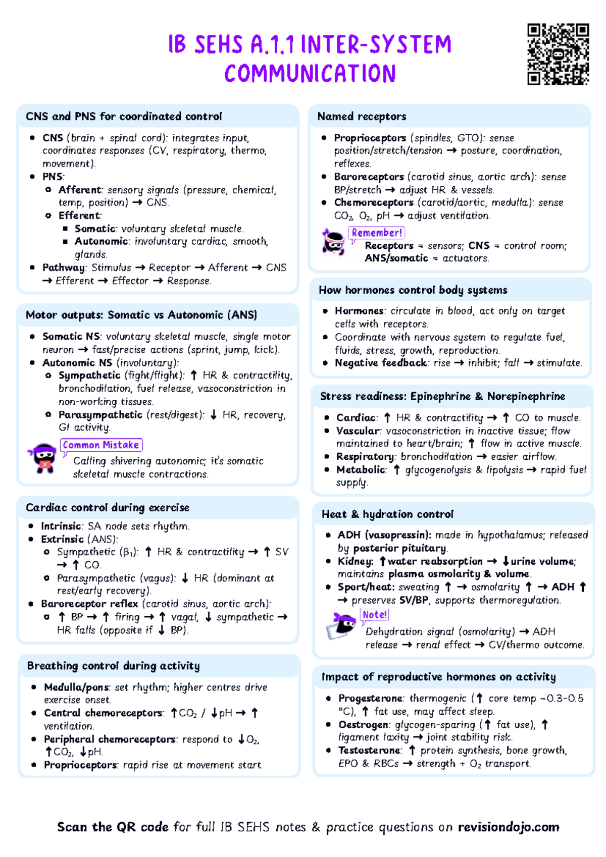 IB SEHS A.1.1 Inter-system Communication Cheatsheet - Studocu