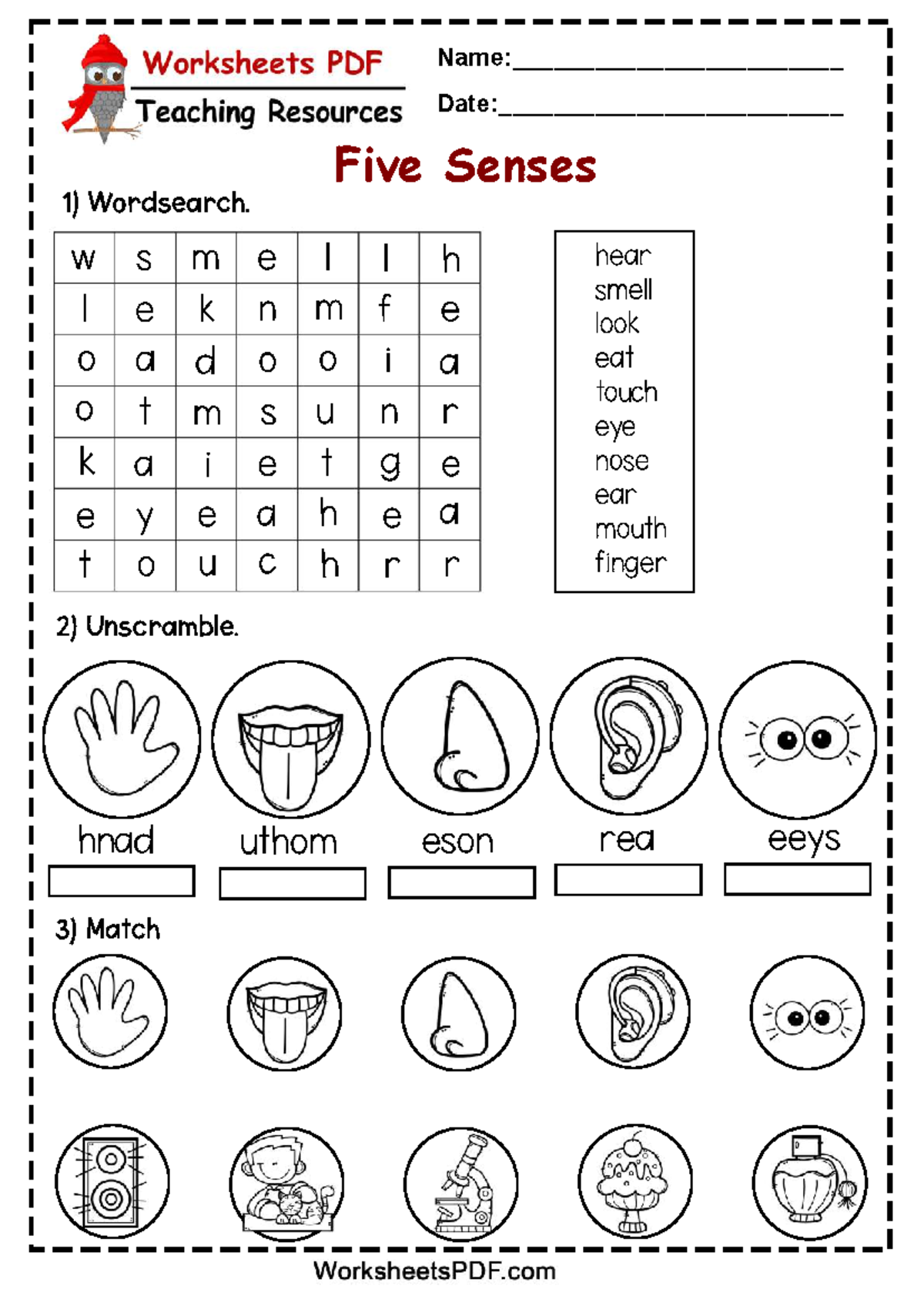 Five Senses Wordsearch comprimido - BSED Science - 1 )Wordsearch. 2 ...