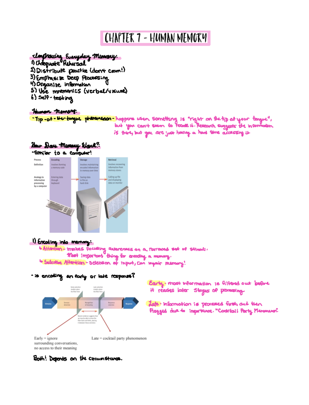 Chapter 7 - Exploring Human Memory: Mechanisms & Theories - Studocu