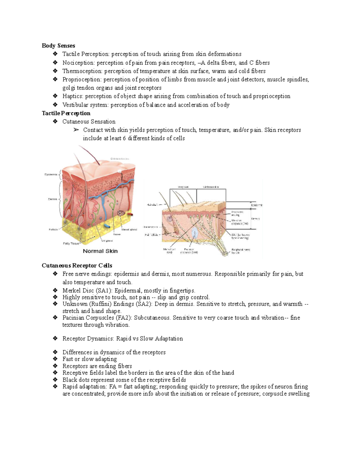 Module 11 - Perception: Understanding Body Senses and Tactile Systems ...