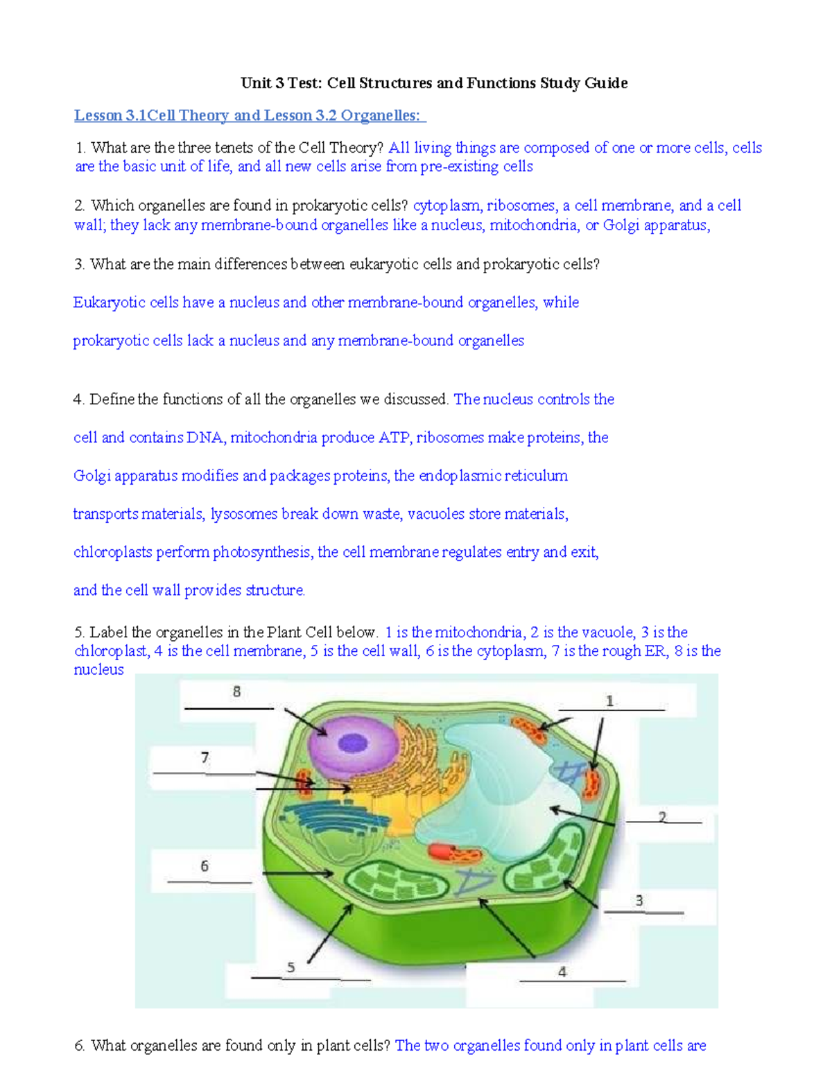 Unit 3 Study Guide: Cell Structures, Functions, and Processes - Studocu