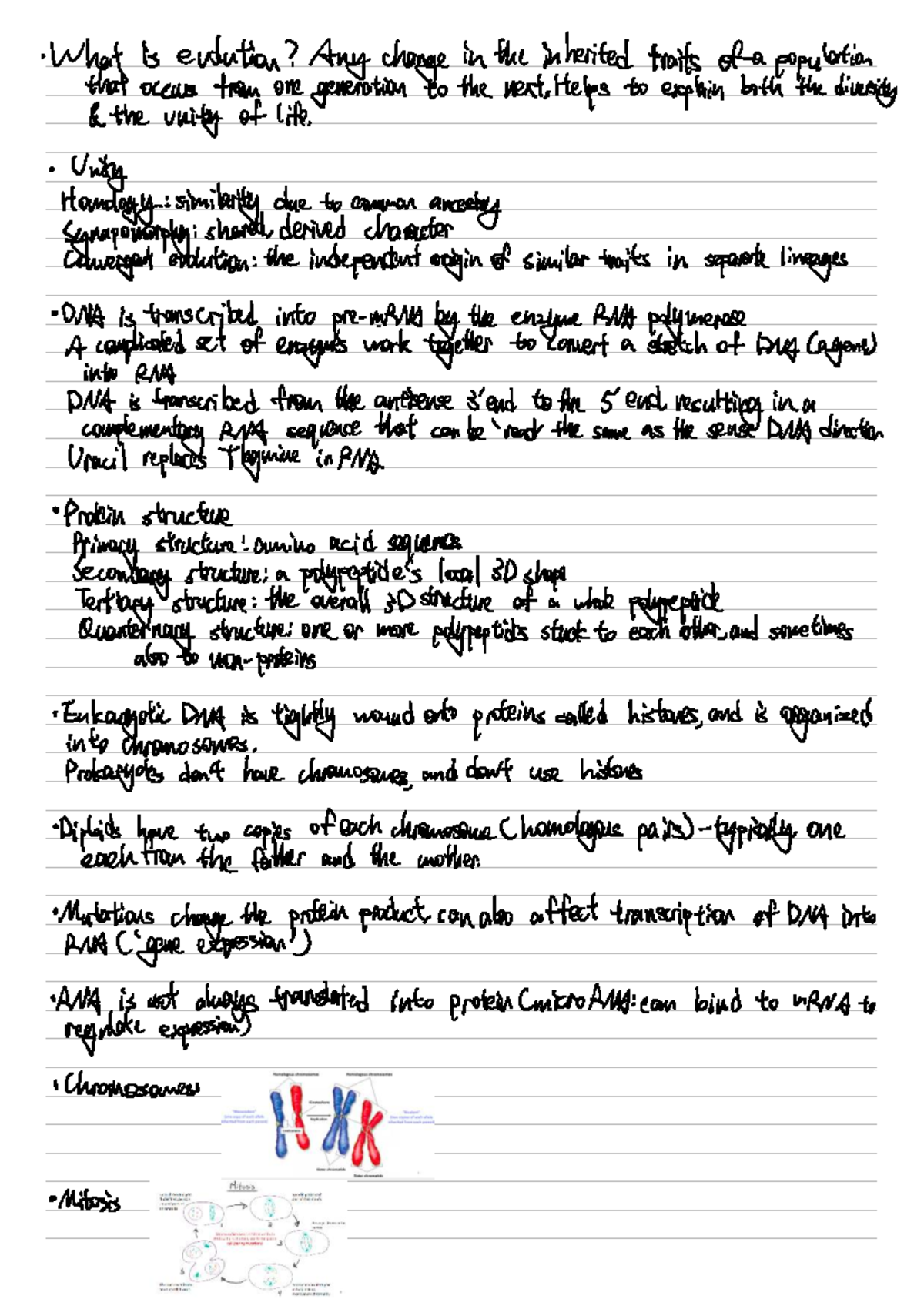 Evolutionary Biology Notes: Key Concepts and Mechanisms (BIO 101) - Studocu