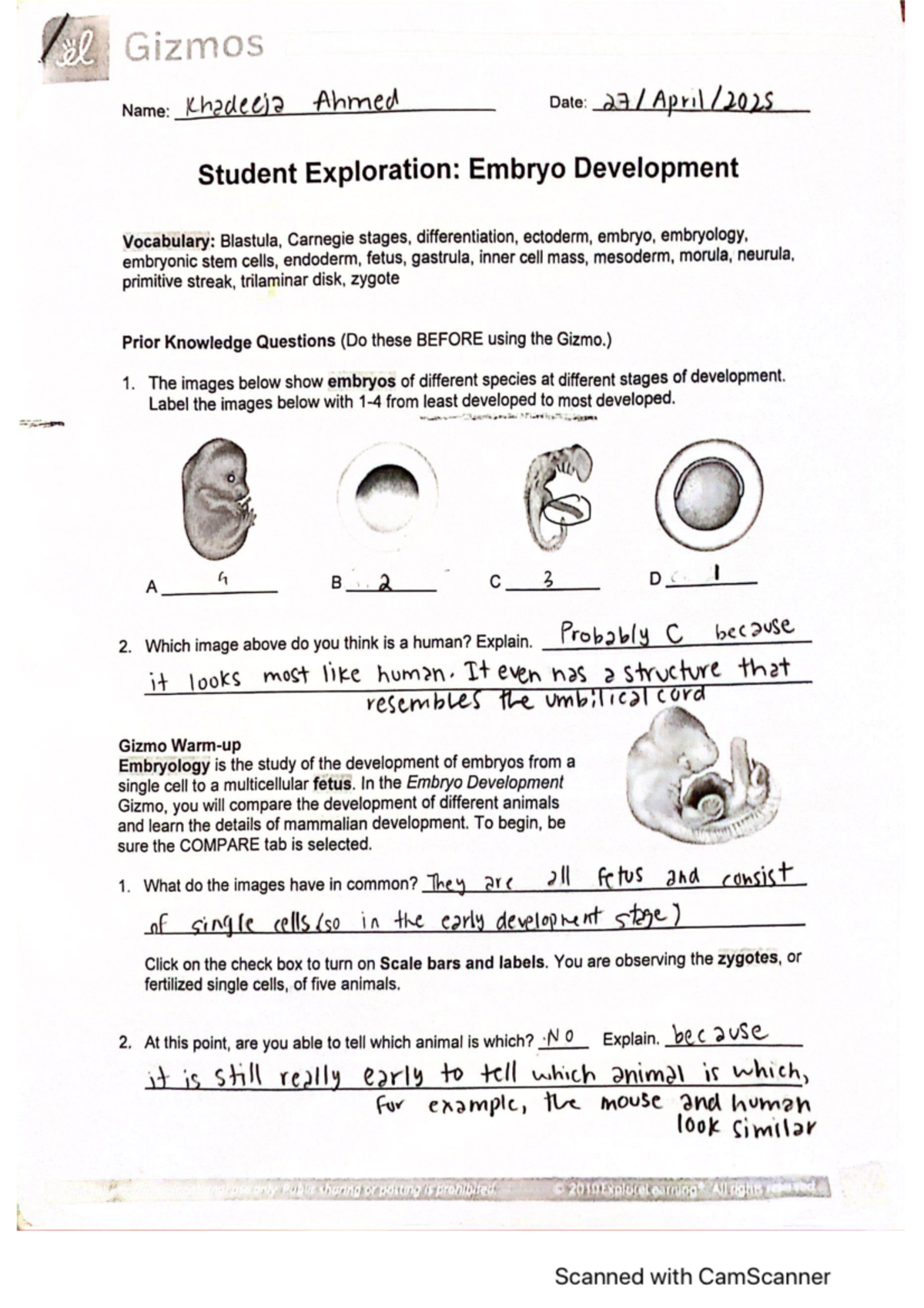 Embryo Development Gizmo - el Gizmos Name: Khadeeja Ahmed Date: Student ...