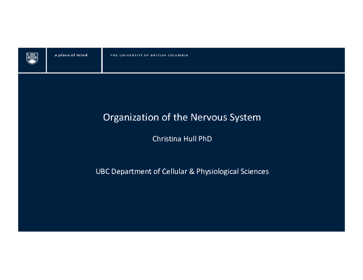 CAPS 205 Nervous System Organization I Hull - Organization of the ...
