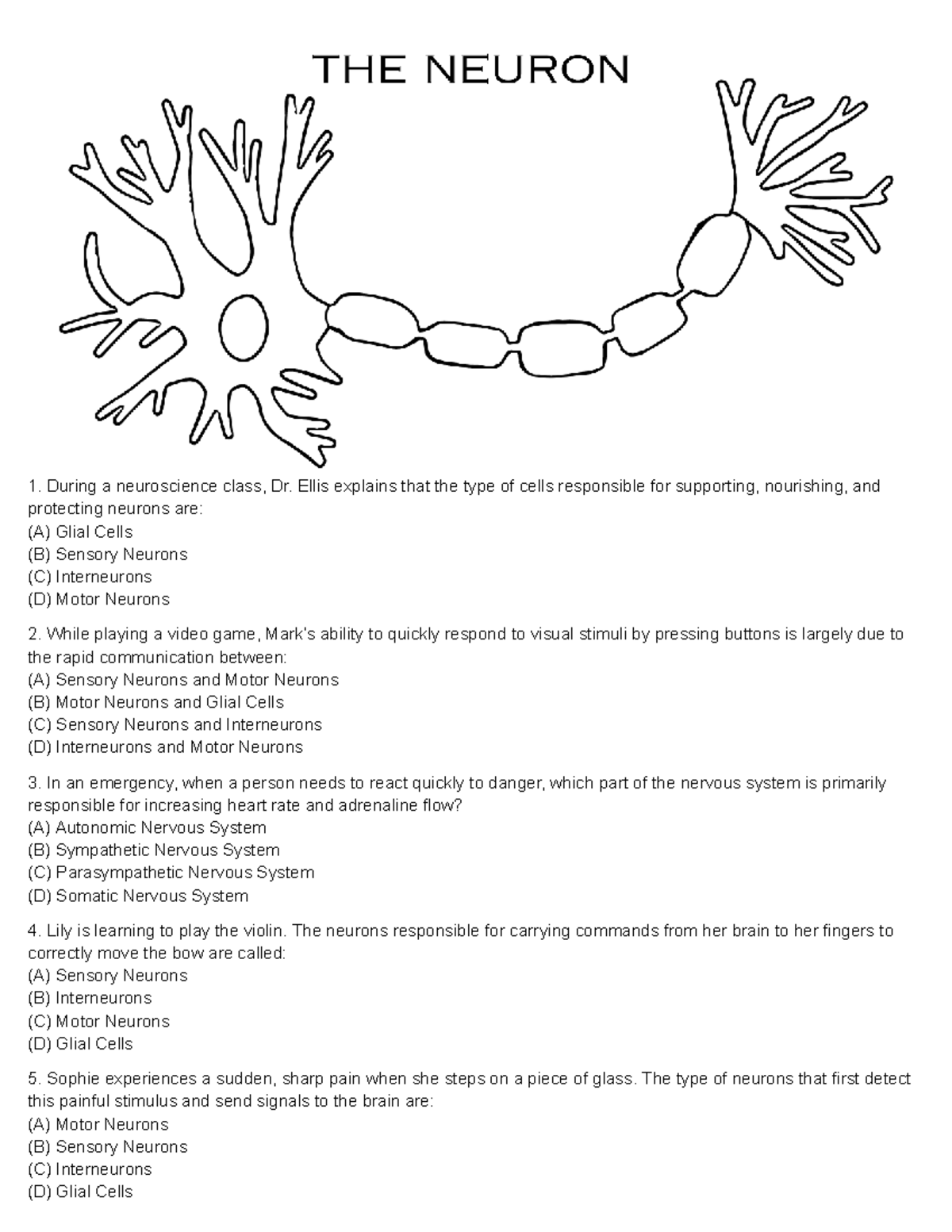 Neuron Label and Application: Neuroscience Class Quiz (NEU 101) - Studocu