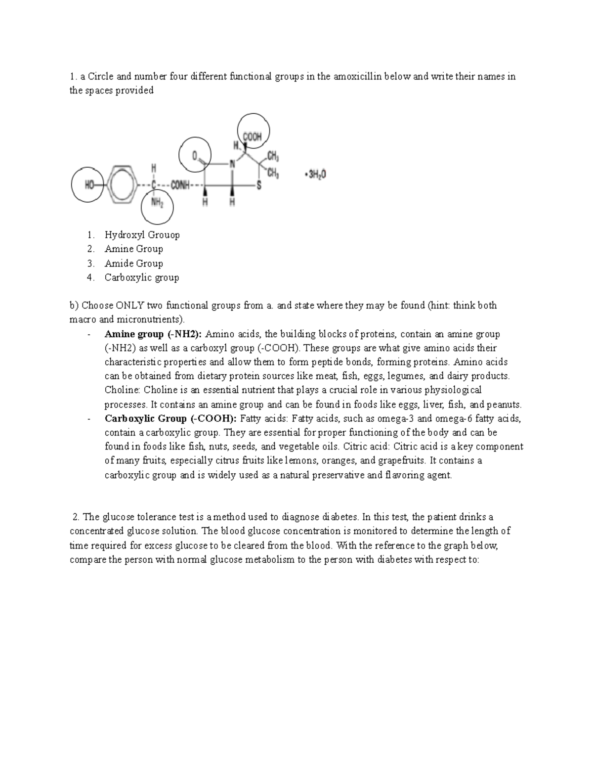SBI 4U Exam Study Guide: Functional Groups, Glucose Tolerance, and ...