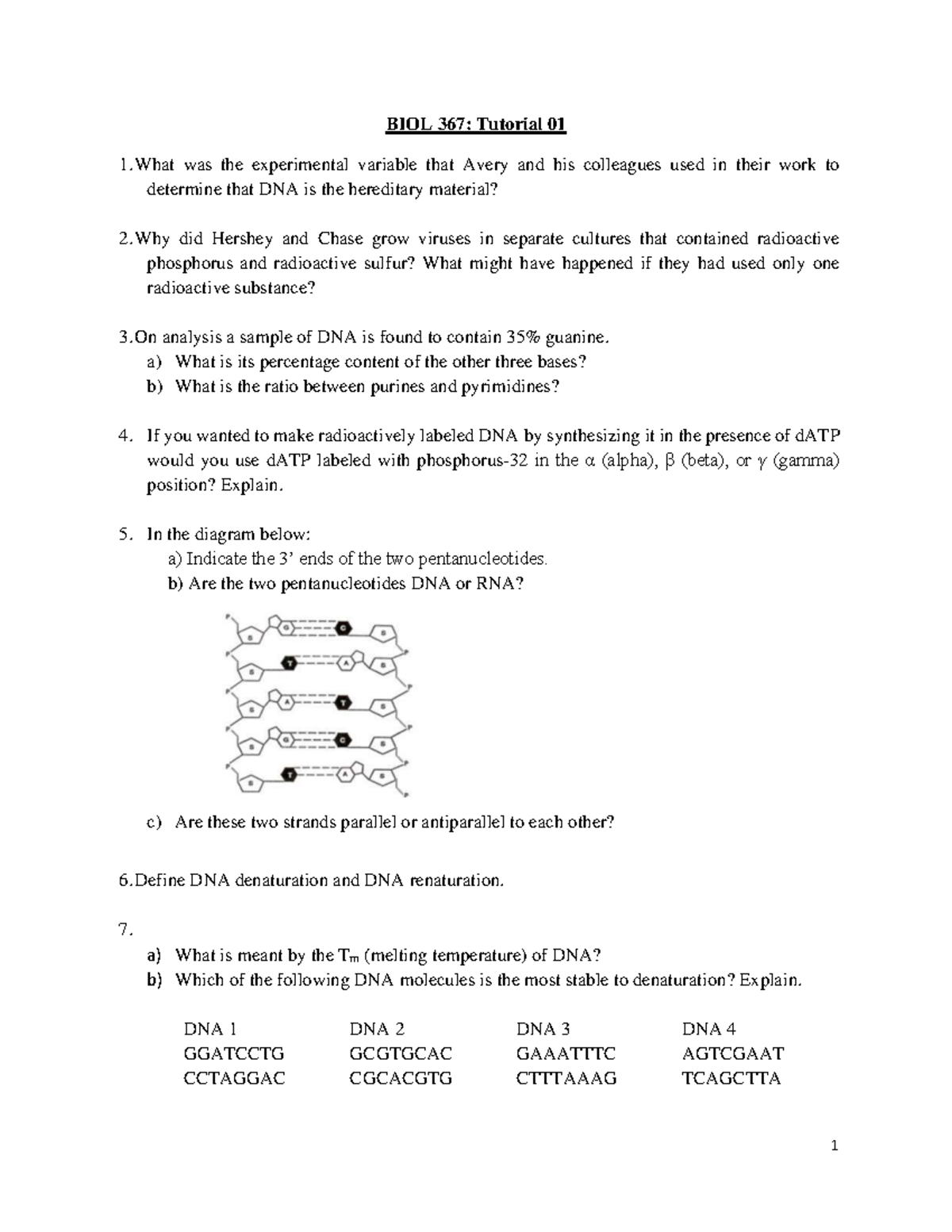 BIOL 367: Tutorial 01 - DNA Heredity and Stability Exercises - Studocu