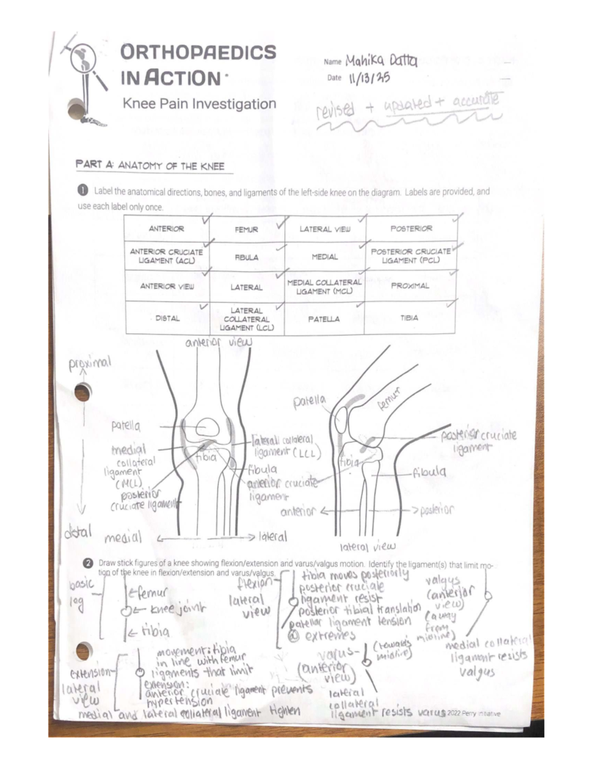 KNEE PAIN INVESTIGATION: ANATOMY & BIOMECHANICS (ORTHO 2022) - Studocu