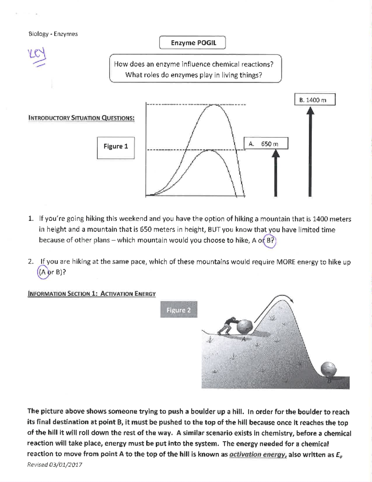 Enzyme POGIL Answer Key & Explanations for Guided Inquiry - Studocu