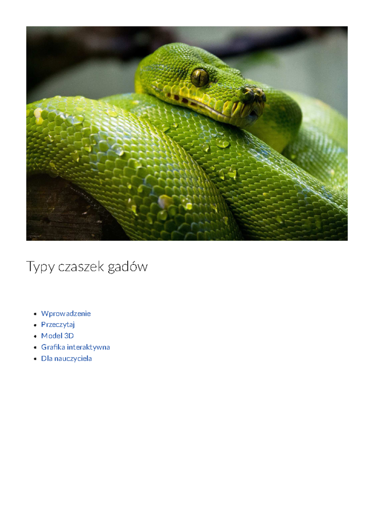 Typy czaszek gadów: anapsydy, synapsydy i diapsydy w biologii - Studocu