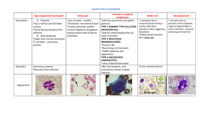 ATP and ADP cycle - EXAMPLE - 1 23 Chapter 8 ATP/ADP Energy Cycle Name ...
