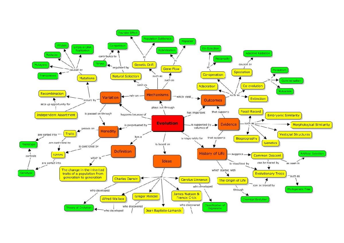 Evolution Concept Map 1 & 2: Key Mechanisms & Theories - Studocu