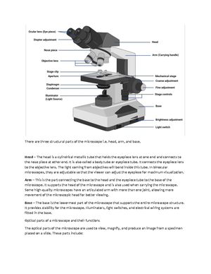 SSS obstetrical history form - Republic of the Philippines Social ...