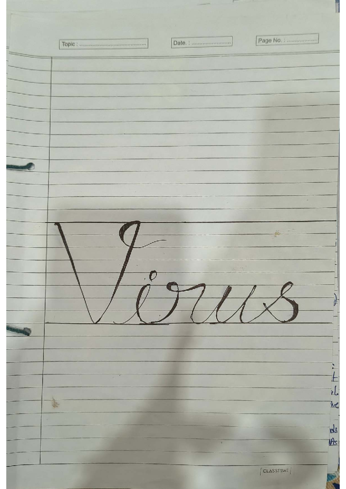 TMV Virus Overview: Structure, Symptoms, and Stability (251013) - Studocu