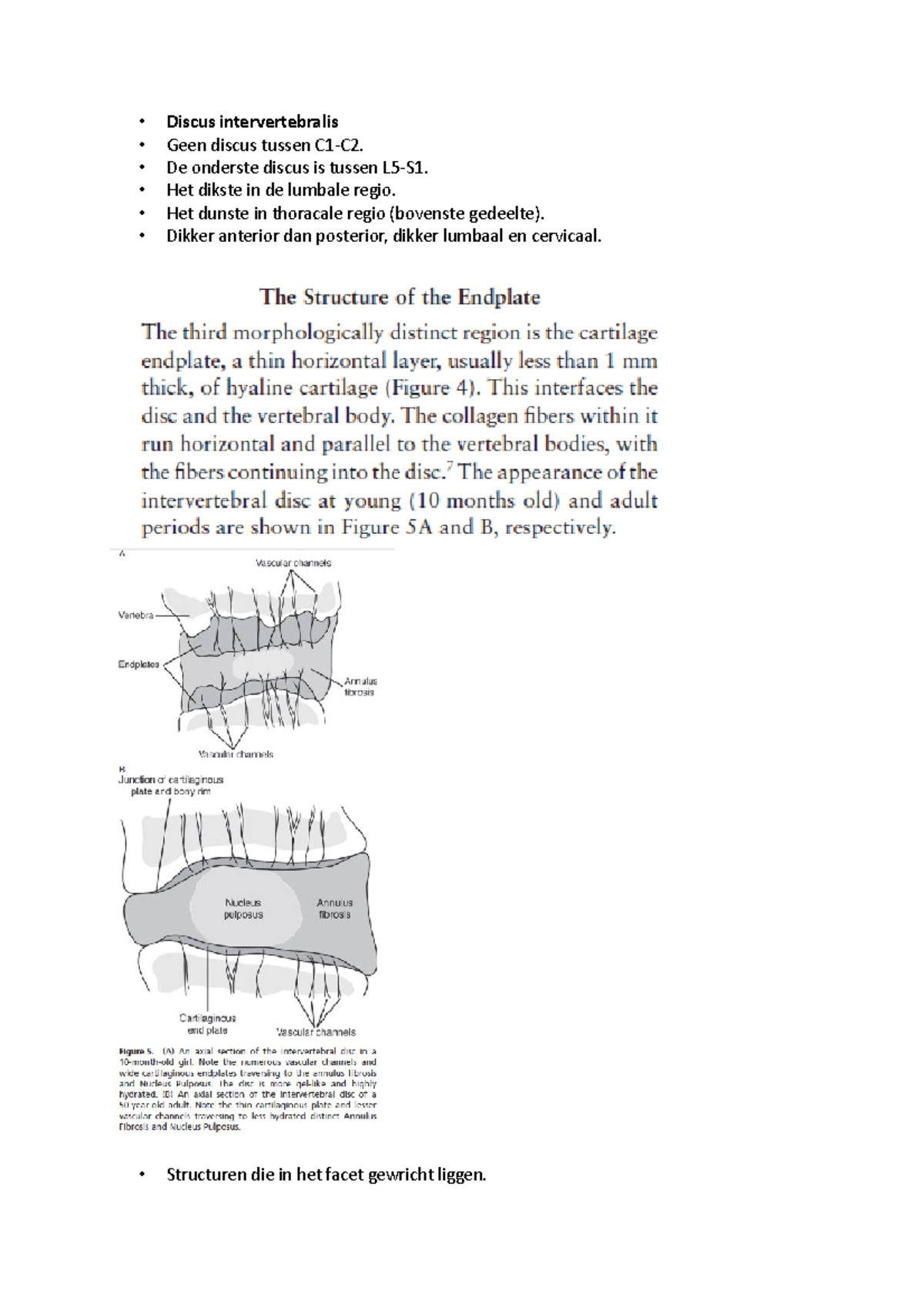 Discus Intervertebralis: Anatomie en Functies (Leerjaar 1) - Studeersnel