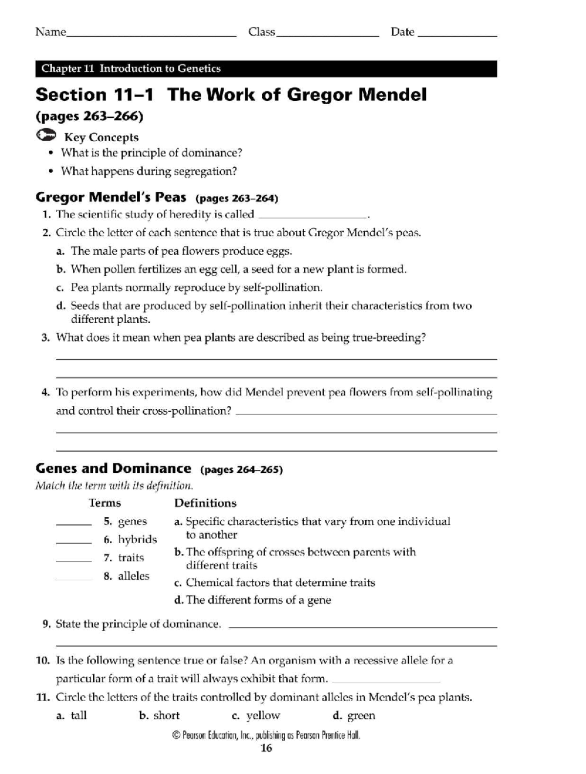 Genetics Guided Reading: Chapter 11 - The Work of Gregor Mendel - Studocu