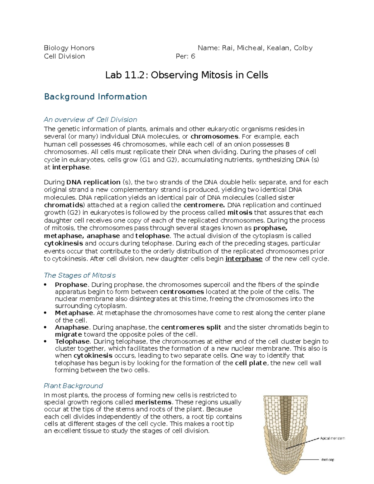 Group 5 Mitosis Microscope Lab - Biology Honors Name: Rai, Micheal ...