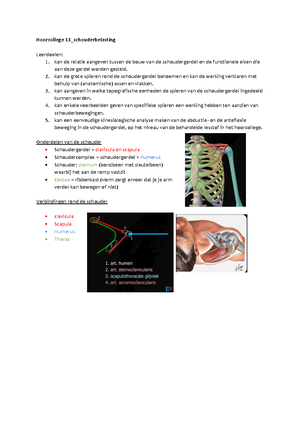 Aantekeningen anatomie - Anatomische vlakken: Frontale vlak: voor- en ...