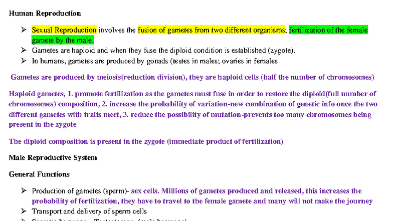Human Reproduction - CAPE: Gametogenesis and Male Reproductive System ...