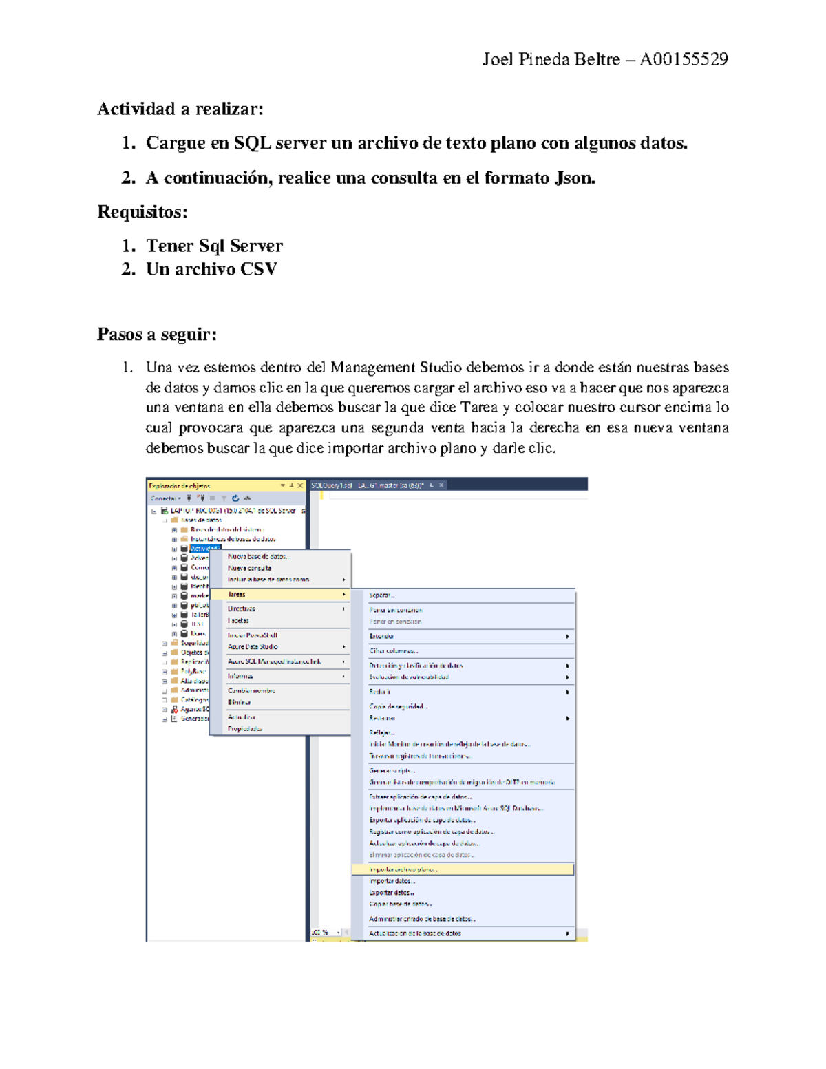 Pineda-Joel-Importación de Datos en SQL Server: Pasos y Requisitos ...