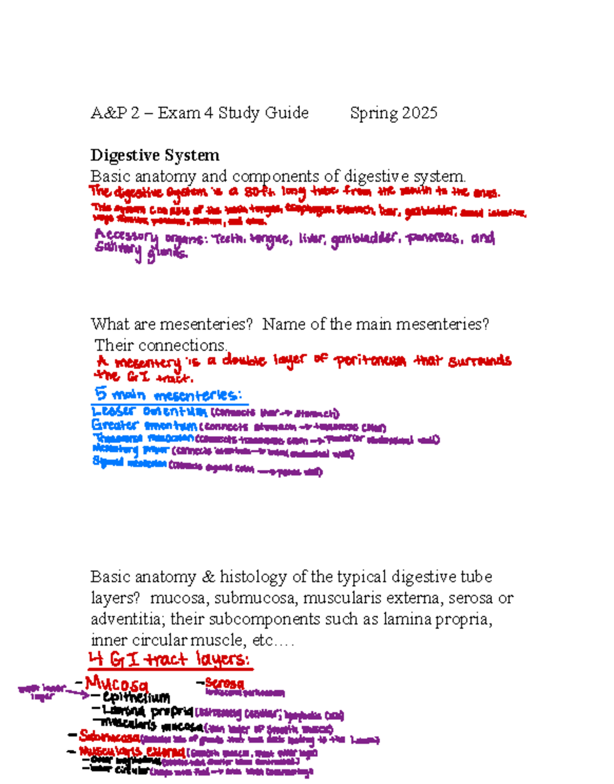 A&P 2 - Exam 4 Study Guide: Urinary and Digestive Systems Overview - A ...