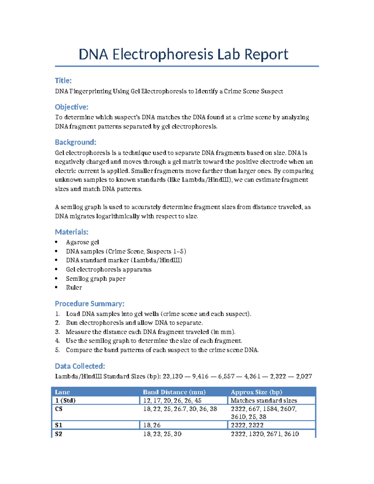 DNA Electrophoresis Lab Report: Fingerprinting for Crime Scene Analysis ...