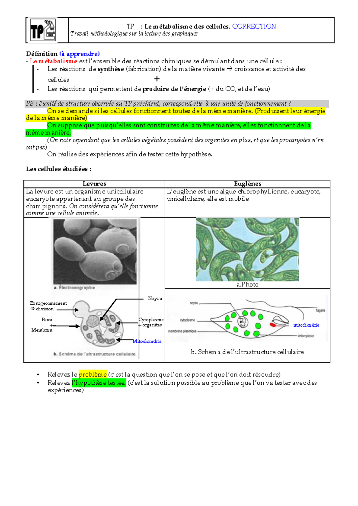 TP 16 - Correction sur le Métabolisme Cellulaire des Levures et ...