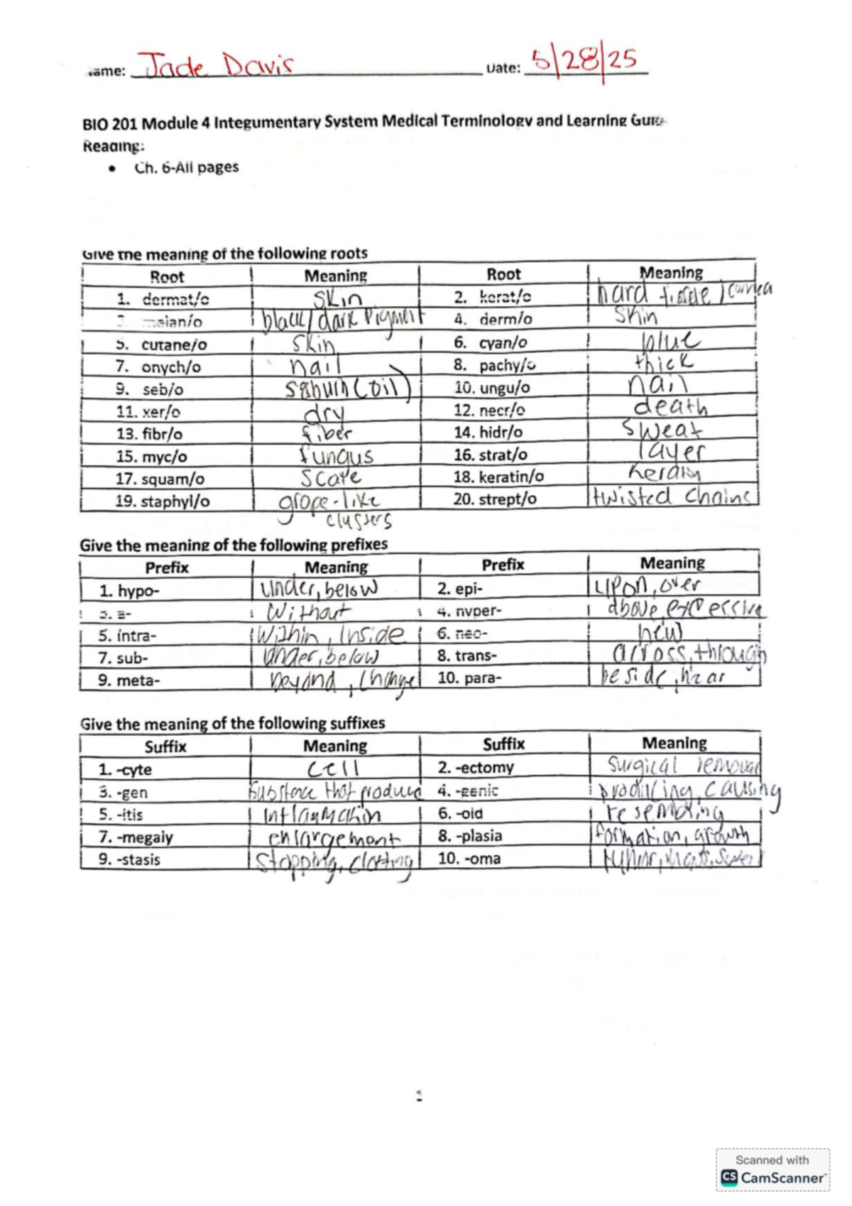 BIO 201 Module 4: Integumentary System Medical Terminology Notes - Studocu