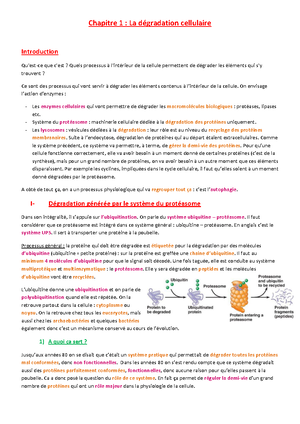 Les compartiments intracellulaires - Les compartiments (lumière ...
