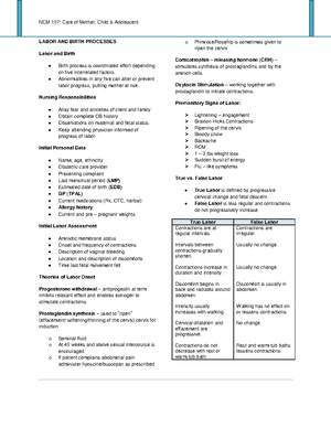 205- Prelim- Prefi - Notes - NRG 205: Community Health Nursing LECTURE ...