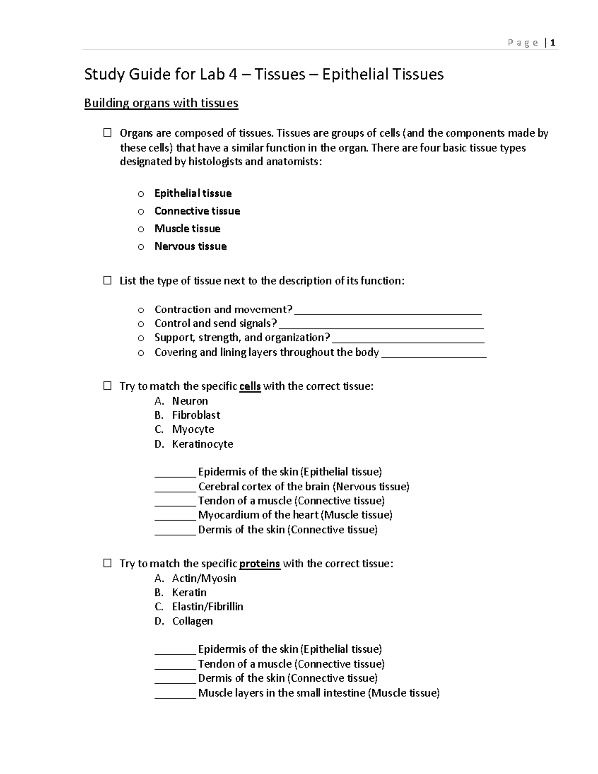 Study Guide for Epithelial Tissues - Lab 4 (Bio 430/431) - Studocu