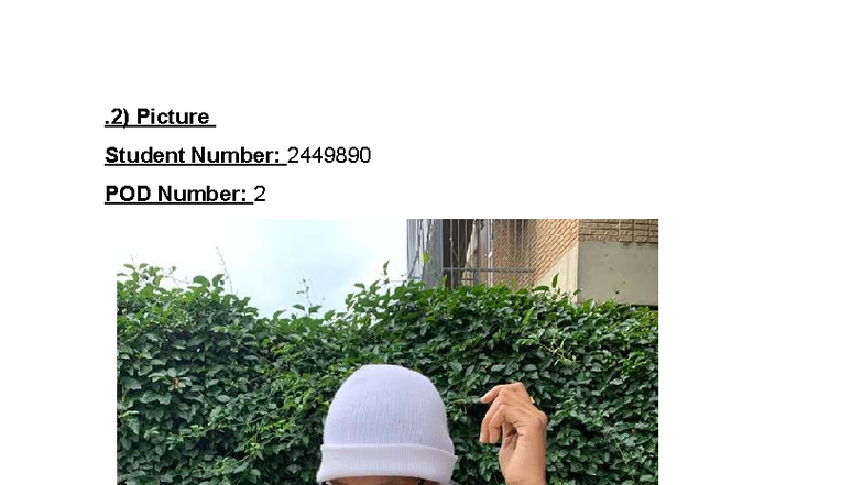 POD 2 - Case Study on Representation and Meaning in Art - Studocu