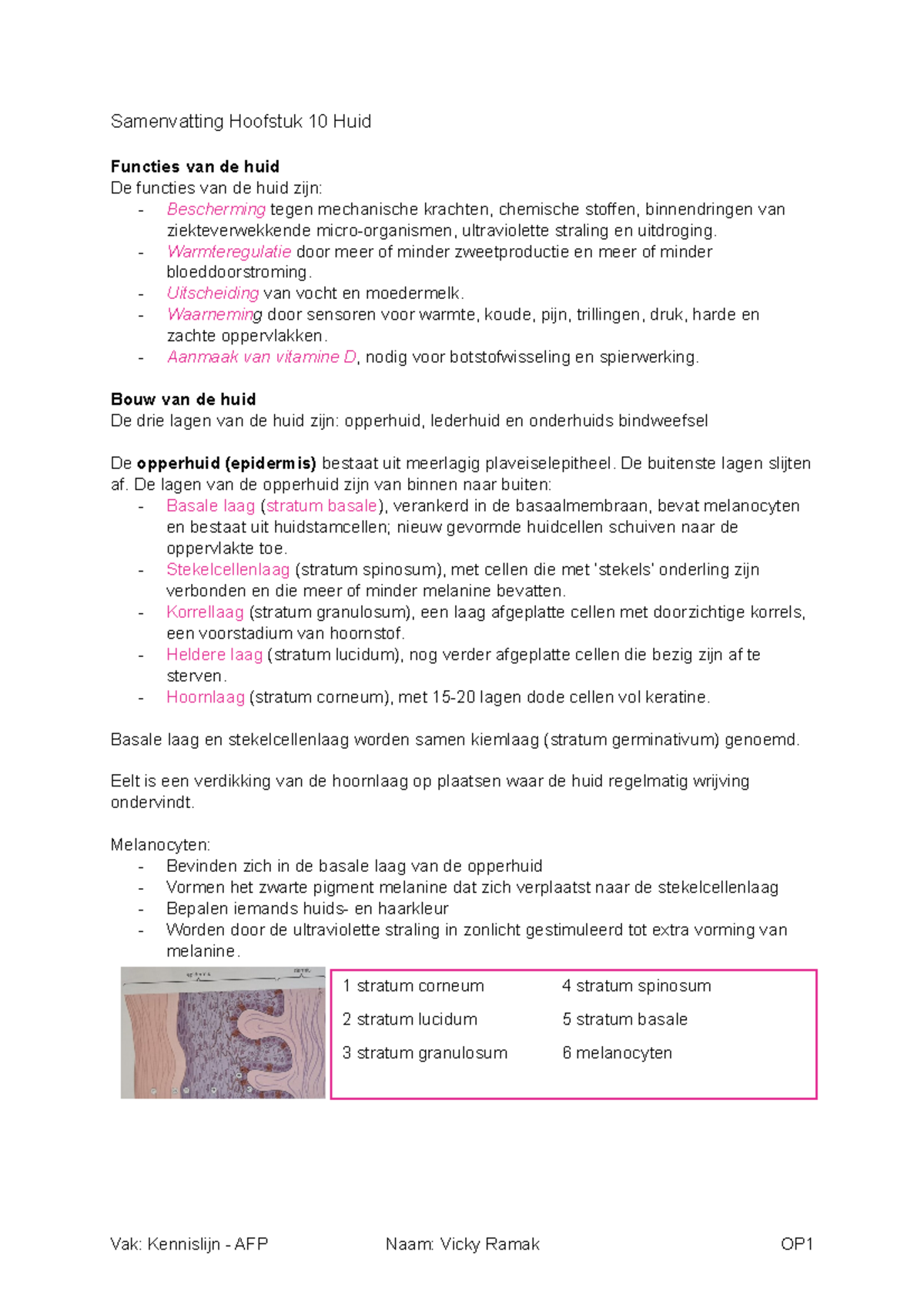 Samenvatting Hoofdstuk 10: De Functies en Bouw van de Huid - Studeersnel