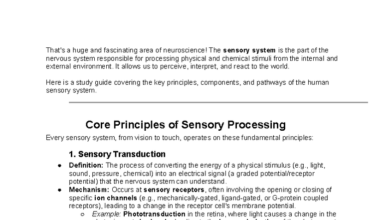 Sensory System Study Guide: Key Principles and Pathways - Studocu